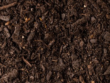 Autumn Mulching: 6 Ideal Materials for Protecting Your Garden and Orchard